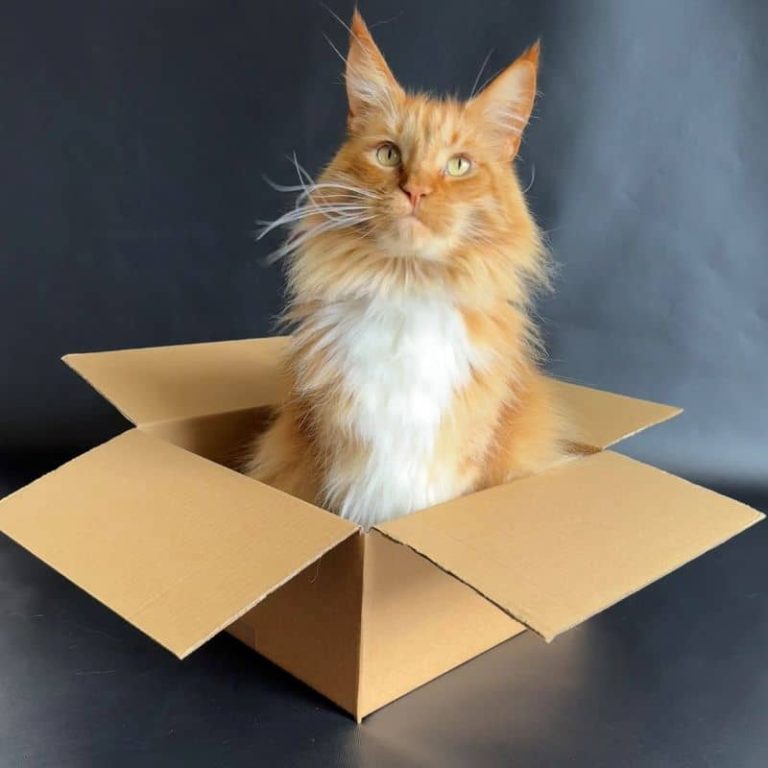 About Us - Packaging Recyclers Auckland Hamilton NZ